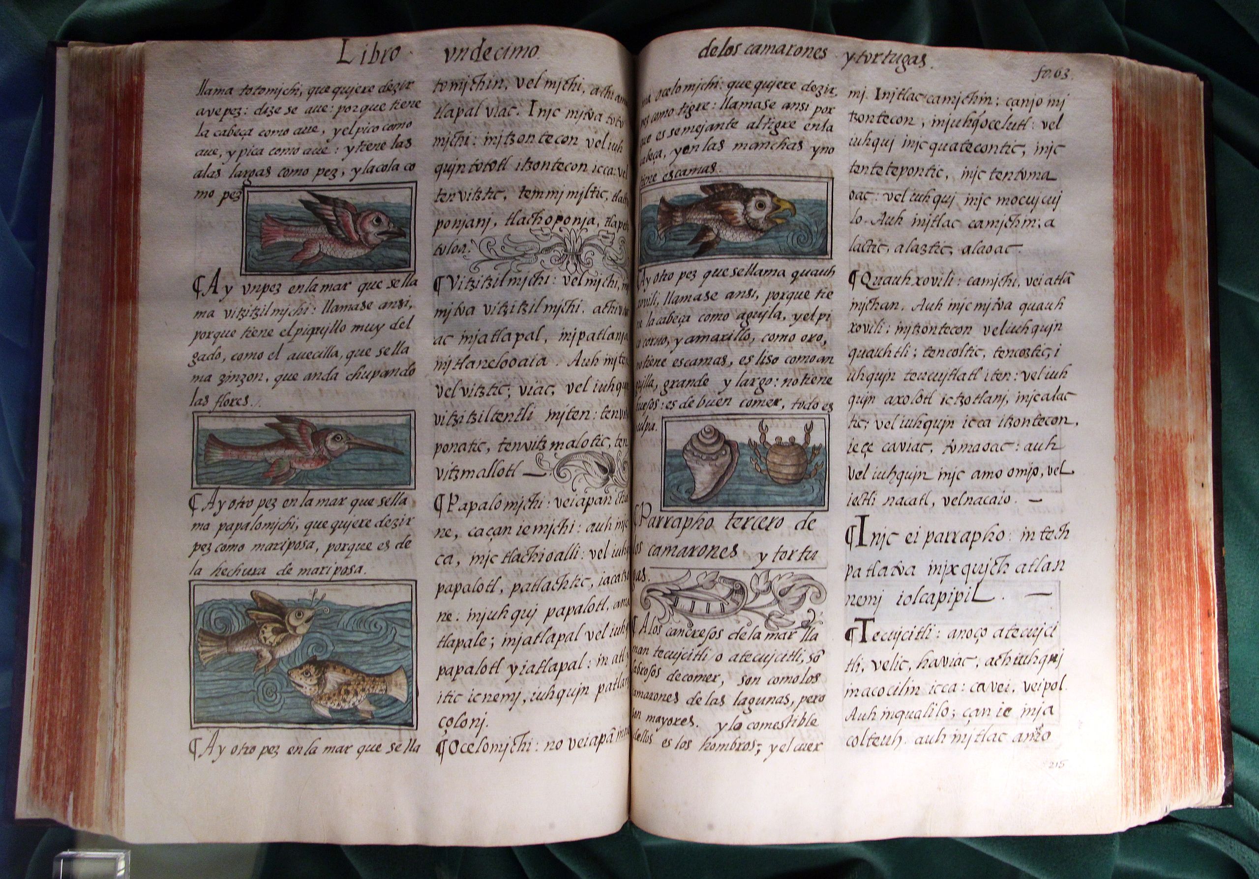 Classic Sources for the Fall of Tenochtitlan - Mexica: A History Podcast